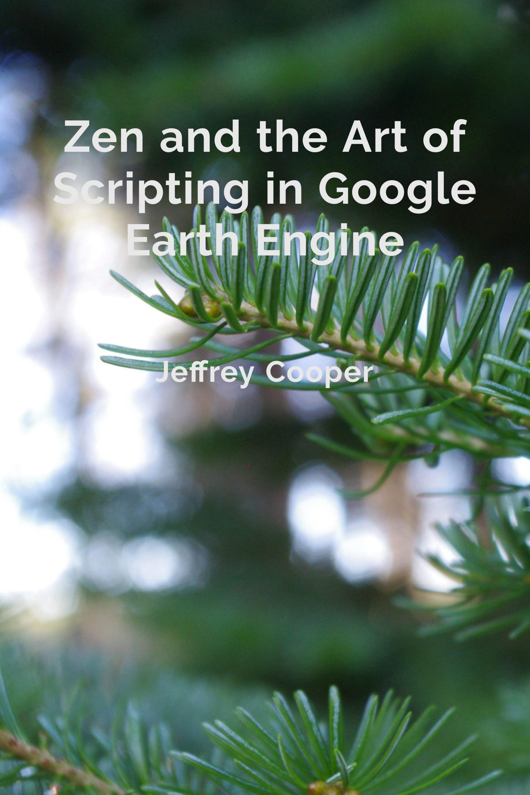 Part II Exercises – Zen and the Art of Scripting in Google Earth Engine